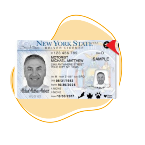 New York state pushes citizens to get REAL ID - MRI Software